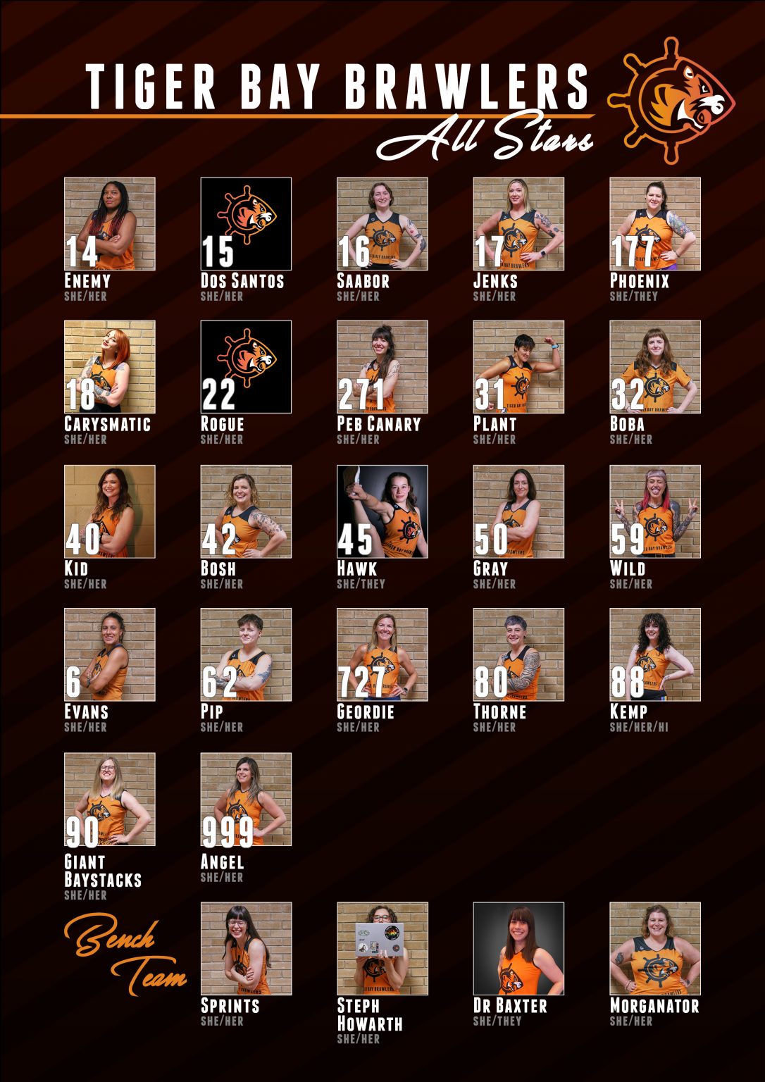 TIGER BAY BRAWLERS: ALL-STARS – TIGER BAY BRAWLERS